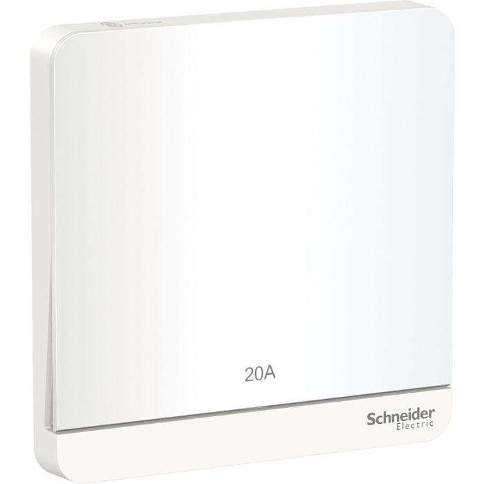 E8331D20N_AWE 20A 250V 1G DP Sw w LED, WE – Chee Kong Electric Co.